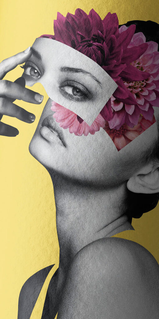 Mater Gin - Oveja & Remi - Engraved Illustration for Gin Label Design